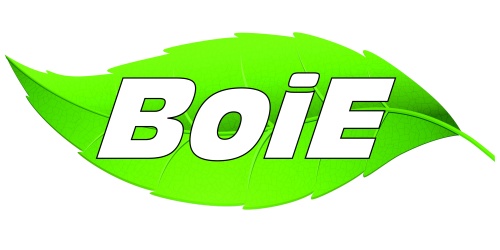 Ozone Generator Buying Guide: How to Use an Ozone Generator at Home